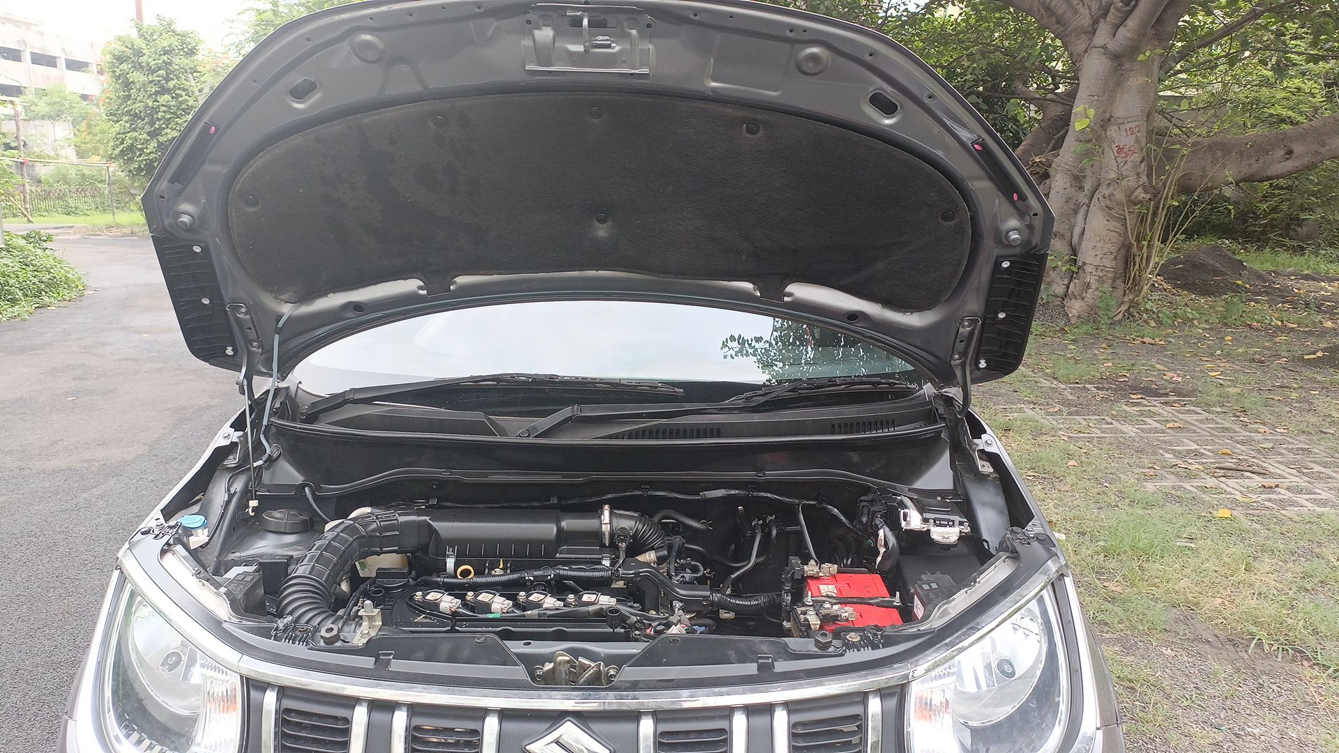 Used Maruti Suzuki Ignis Zeta Petrol BS IV in Kolkata 2020 model, India ...